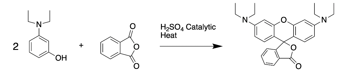 Solved N H2SO4 Catalytic Heat 2 + OH | Chegg.com