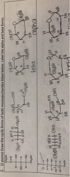 Solved 2. (2 points) Draw the cyclic forms of both | Chegg.com