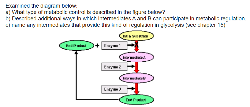Solved Examined the diagram below: a) What type of metabolic | Chegg.com