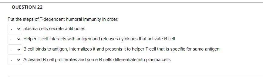 Solved QUESTION 22 Put the steps of T-dependent humoral | Chegg.com