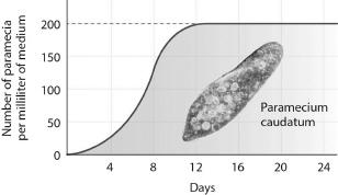 Solved 2)The carrying capacity for Paramecia caudatum as | Chegg.com
