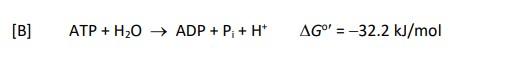 Solved ATP+H2O→ADP+Pi+H+ΔG∘′=−32.2 kJ/mol4. Couple reactions | Chegg.com