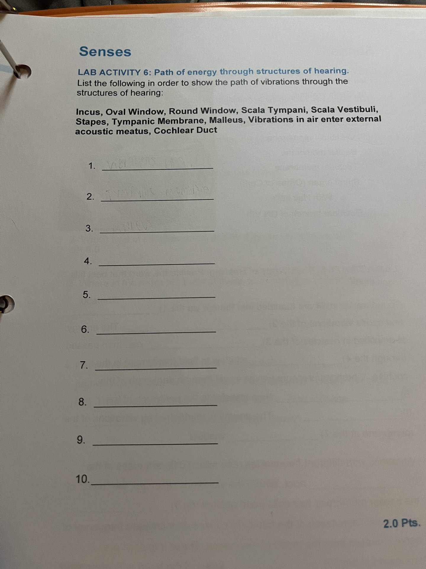 Solved LAB ACTIVITY 6: Path of energy through structures of | Chegg.com