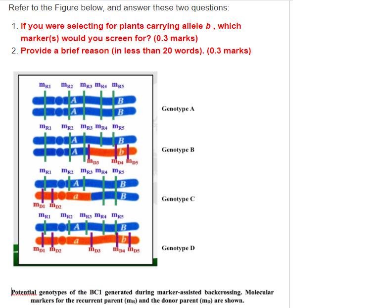 Solved How much of the recurrent parent genome have you | Chegg.com