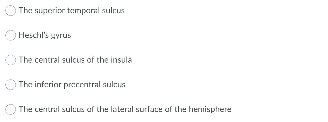 Solved In the below figure, the structure labelled as “X”is | Chegg.com