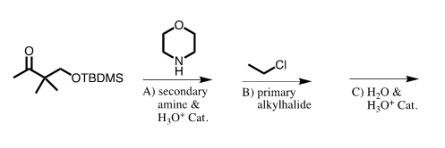 Solved OTBDMS A) secondary amine & HO+ Cat. B) primary | Chegg.com