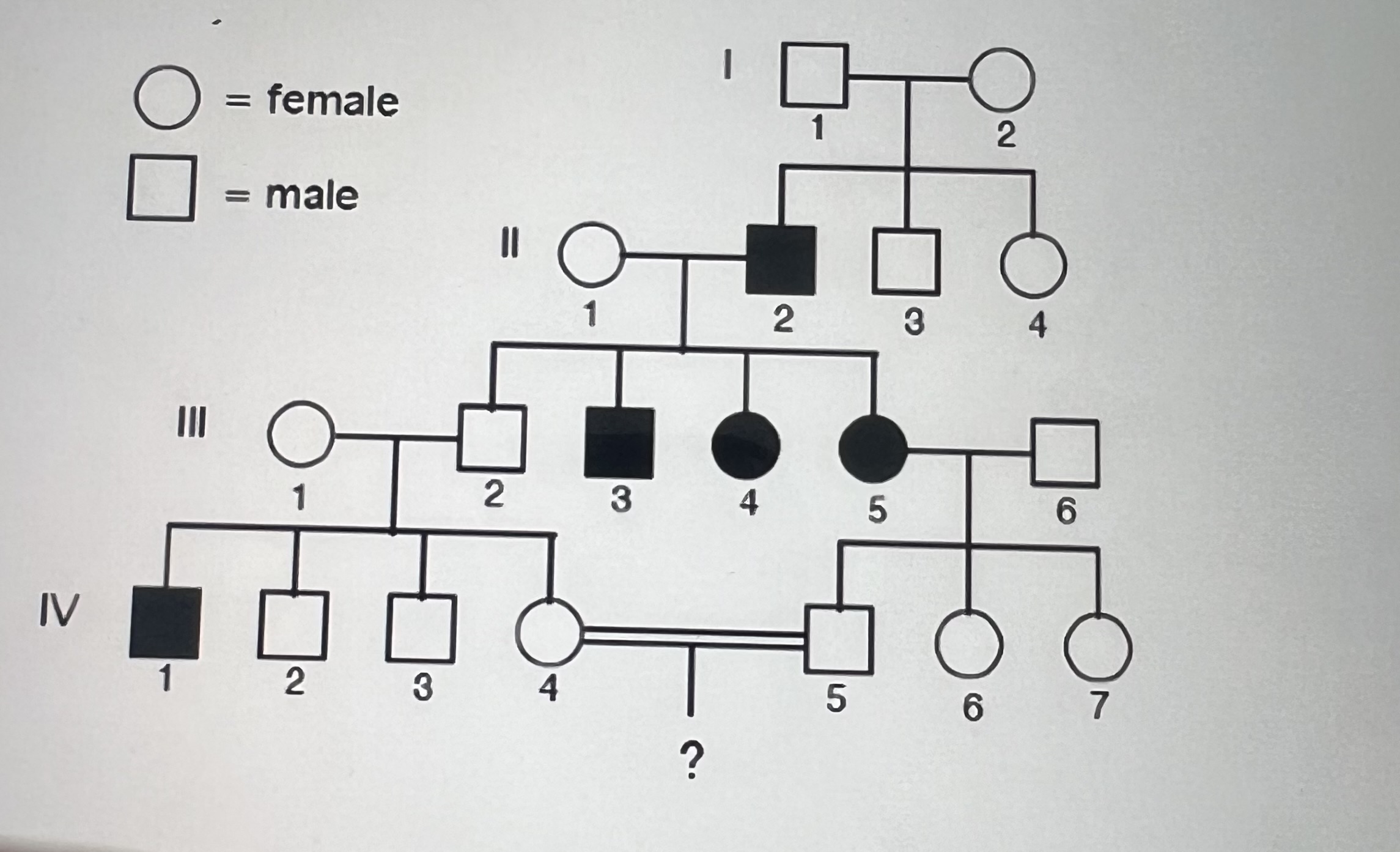 Solved In the following pedigree, how many individuals are | Chegg.com