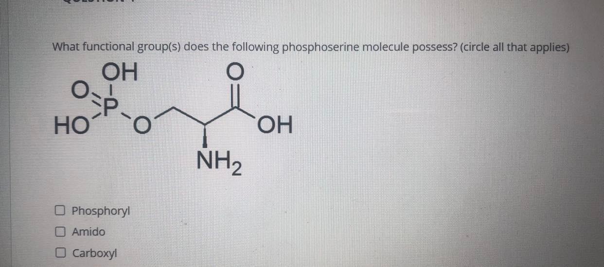 Phosphoryl Functional Group