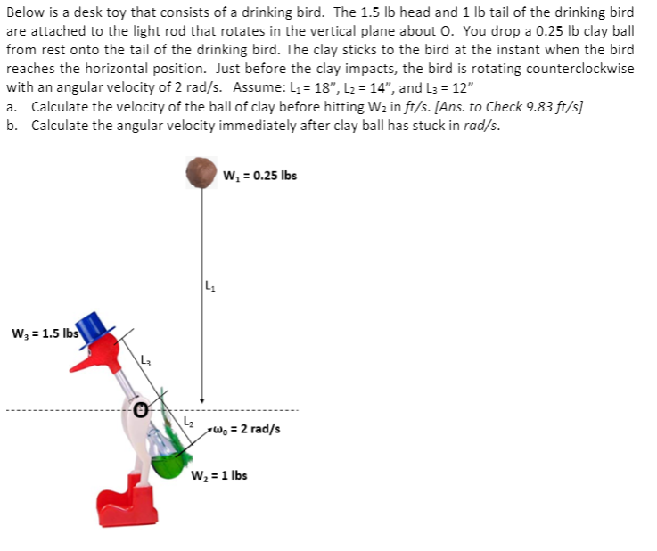 Solved Below is a desk toy that consists of a drinking bird. | Chegg.com