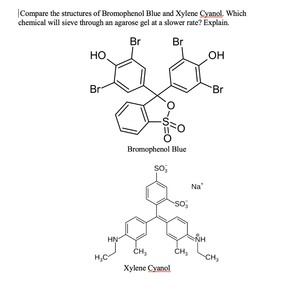 Solved Compare the structures of Bromophenol Blue and Xylene | Chegg.com