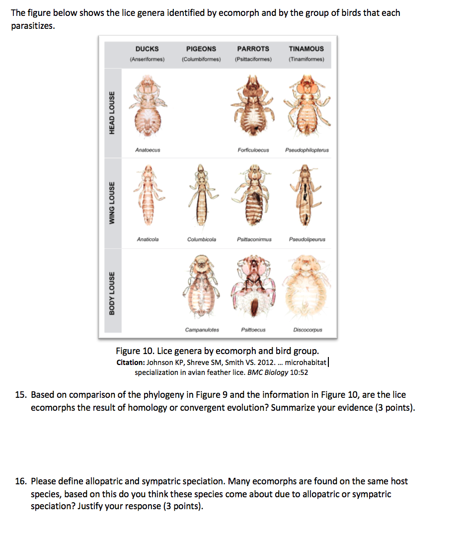 Solved The figure below shows the lice genera identified by | Chegg.com