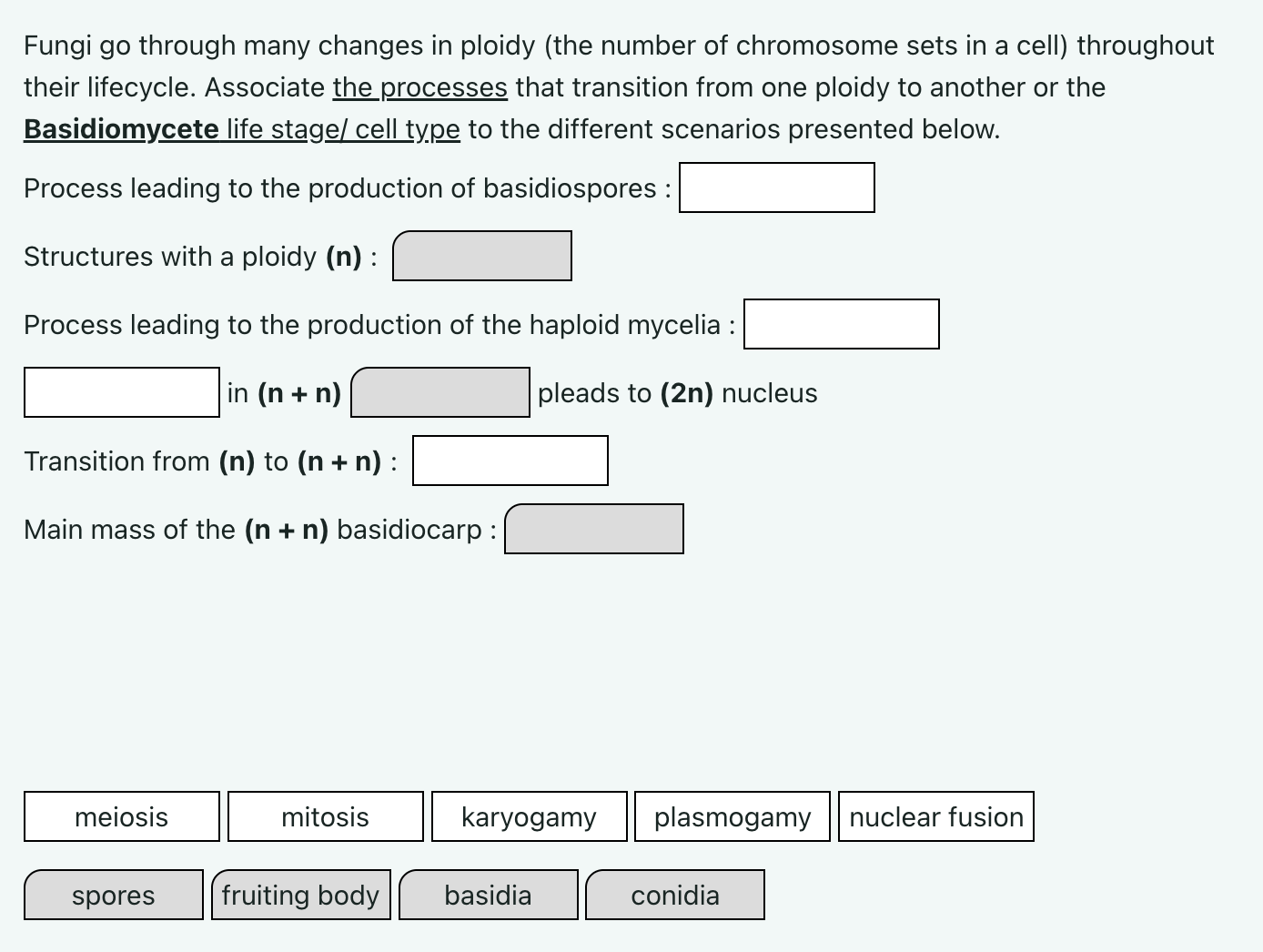 Solved Fungi go through many changes in ploidy (the number | Chegg.com
