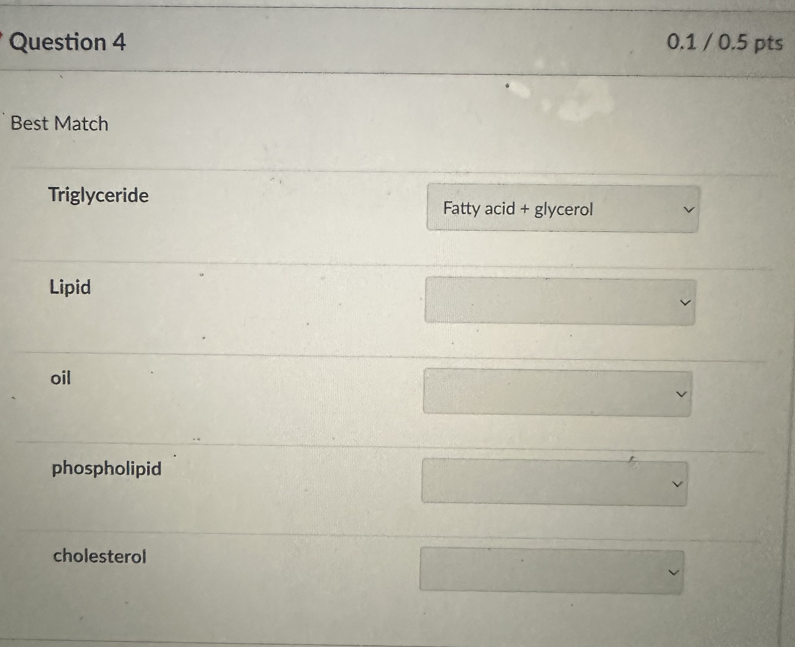 Solved Best Match Triglyceride Lipid oil phospholipid | Chegg.com