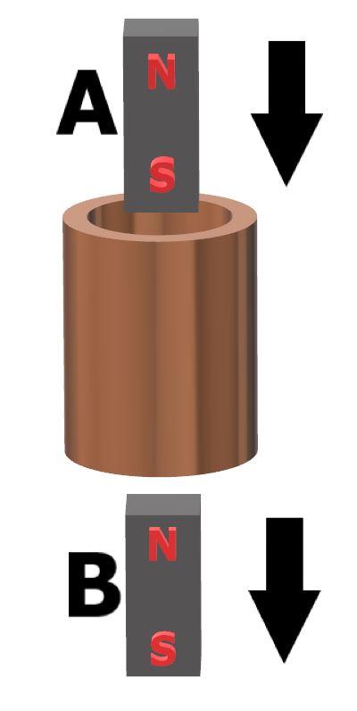 Solved A bar magnet is dropped down through a vertical | Chegg.com