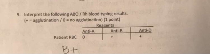 Solved 9. Interpret the following ABO/ Rh blood typing | Chegg.com