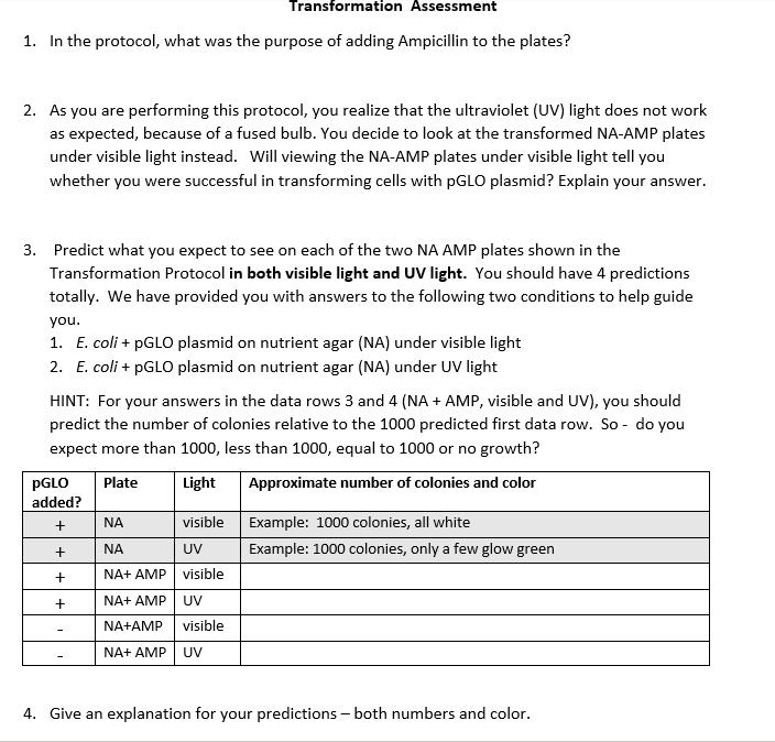 Solved Transformation Assessment 1. In the protocol, what | Chegg.com
