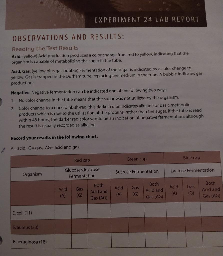 Solved EXPERIMENT 24 LAB REPORT OBSERVATIONS AND RESULTS: | Chegg.com