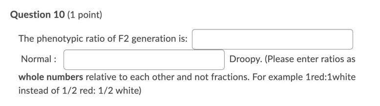 Solved Droopy Beak Penguins A trait is being followed in | Chegg.com