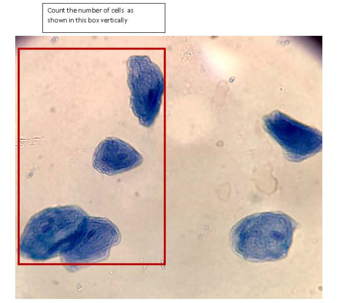 Solved Using the figure above: calculate the approximate | Chegg.com