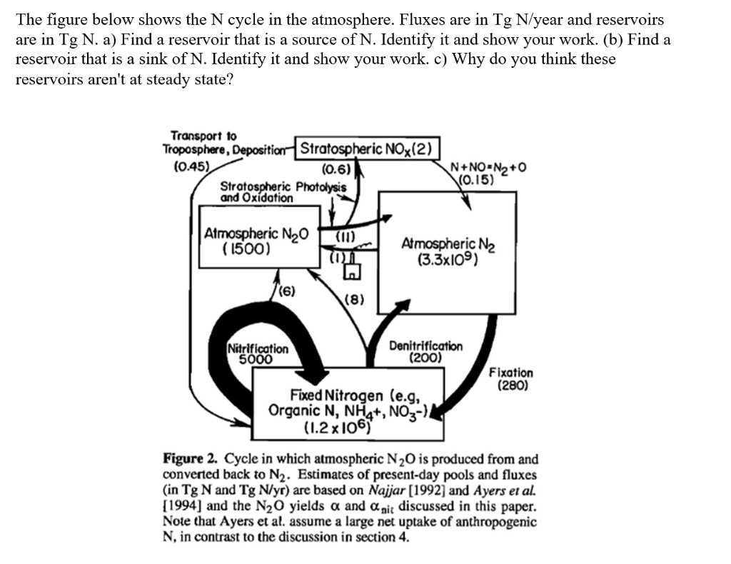 Solved The figure below shows the N cycle in the atmosphere. | Chegg.com