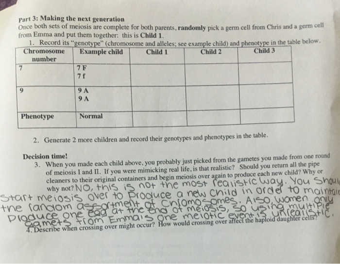 Phenotype Example For Kids