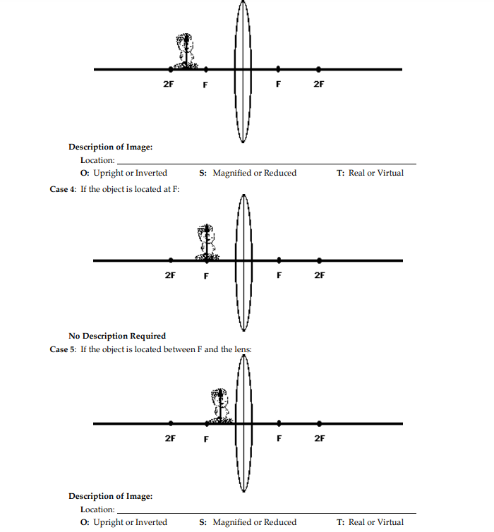 Solved Description of Image: Location: O: Upright or | Chegg.com