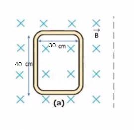 Solved (a) A rectangular loop 30 cm x 40 cm is located | Chegg.com