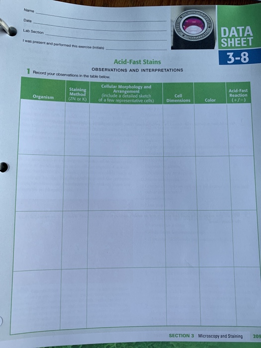 Solved Name Date Lab Section was present and performed this | Chegg.com