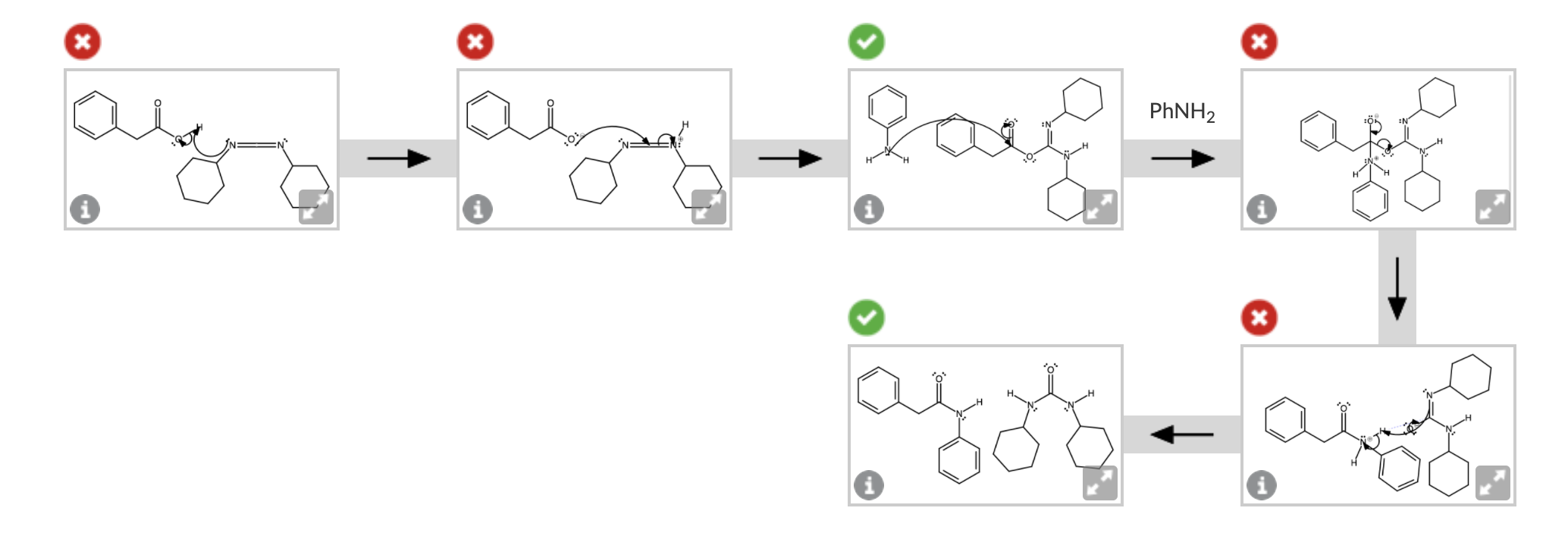 Solved Dicyclohexylcarbodiimide (DCC) is used to create | Chegg.com