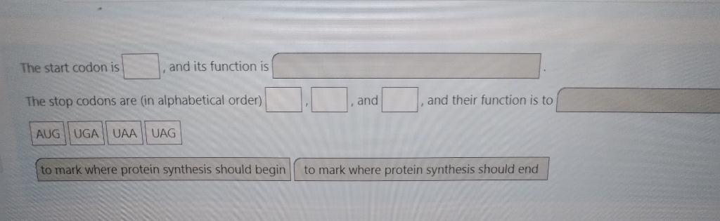 Solved The start codon is and its function is The stop | Chegg.com