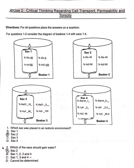 Solved ercise 2: Critical Thinking Regarding Cell Transport, | Chegg.com