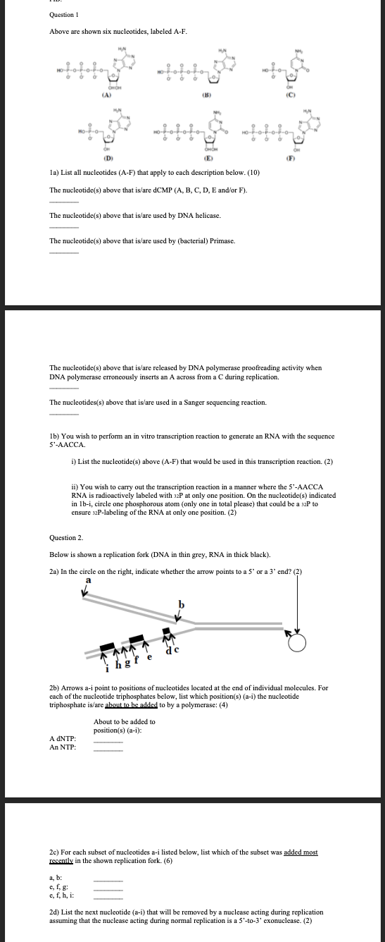 Solved Above are shown six nucleotides, labeled A-F. 1a) | Chegg.com