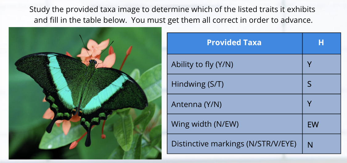 Solved Study the provided taxa image to determine which of | Chegg.com Solved Study the provided taxa image to determine which of | Chegg.com