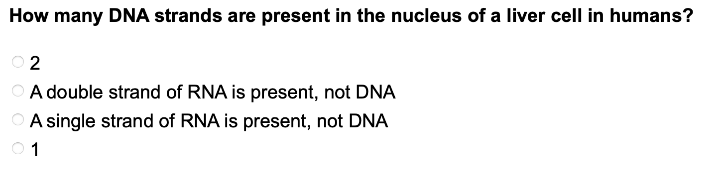 Solved How many DNA strands are present in the nucleus of a | Chegg.com