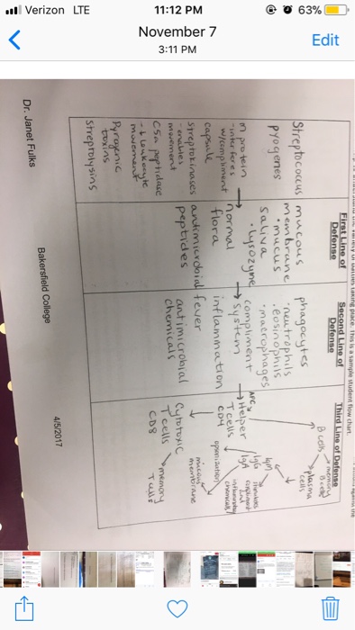 Solved Please flow chart proteus mirabilis. Exactly like it | Chegg.com