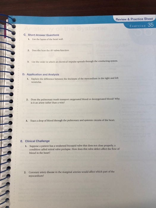 Solved P Review & Practice Sheet Now available in | Chegg.com
