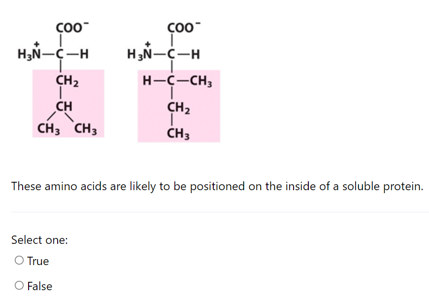 Solved COO H3N-C-H COO“ H3N-C-H --H H-C-CH3 CH2 CH CH2 | CH3 | Chegg.com
