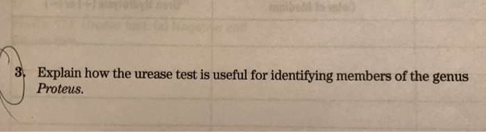 Solved Explain how the urease test is useful for identifying | Chegg.com