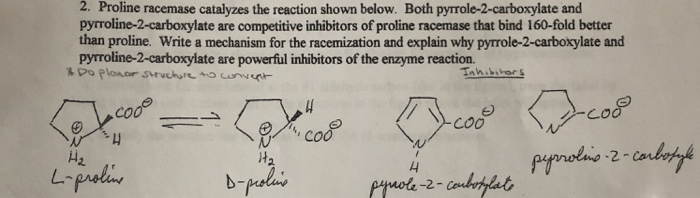 Solved 2. Proline racemase catalyzes the reaction shown | Chegg.com