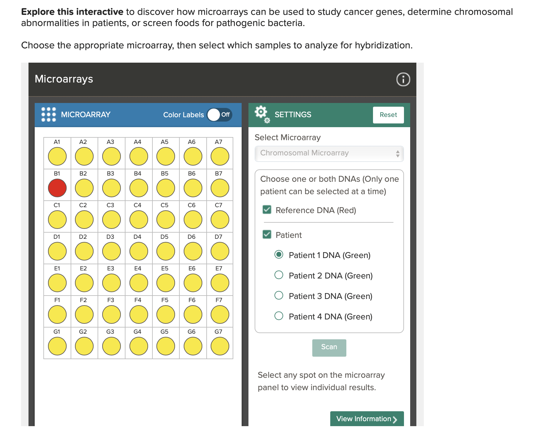 Solved Explore this interactive to discover how microarrays | Chegg.com