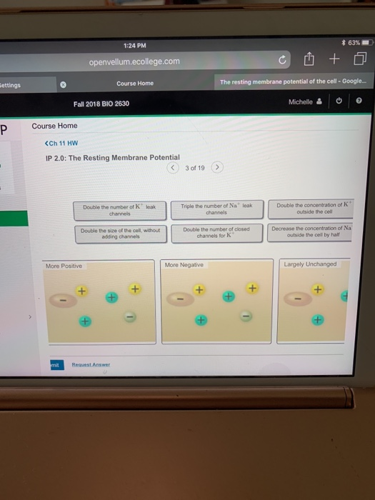 Solved For each of the following indicate whether the | Chegg.com