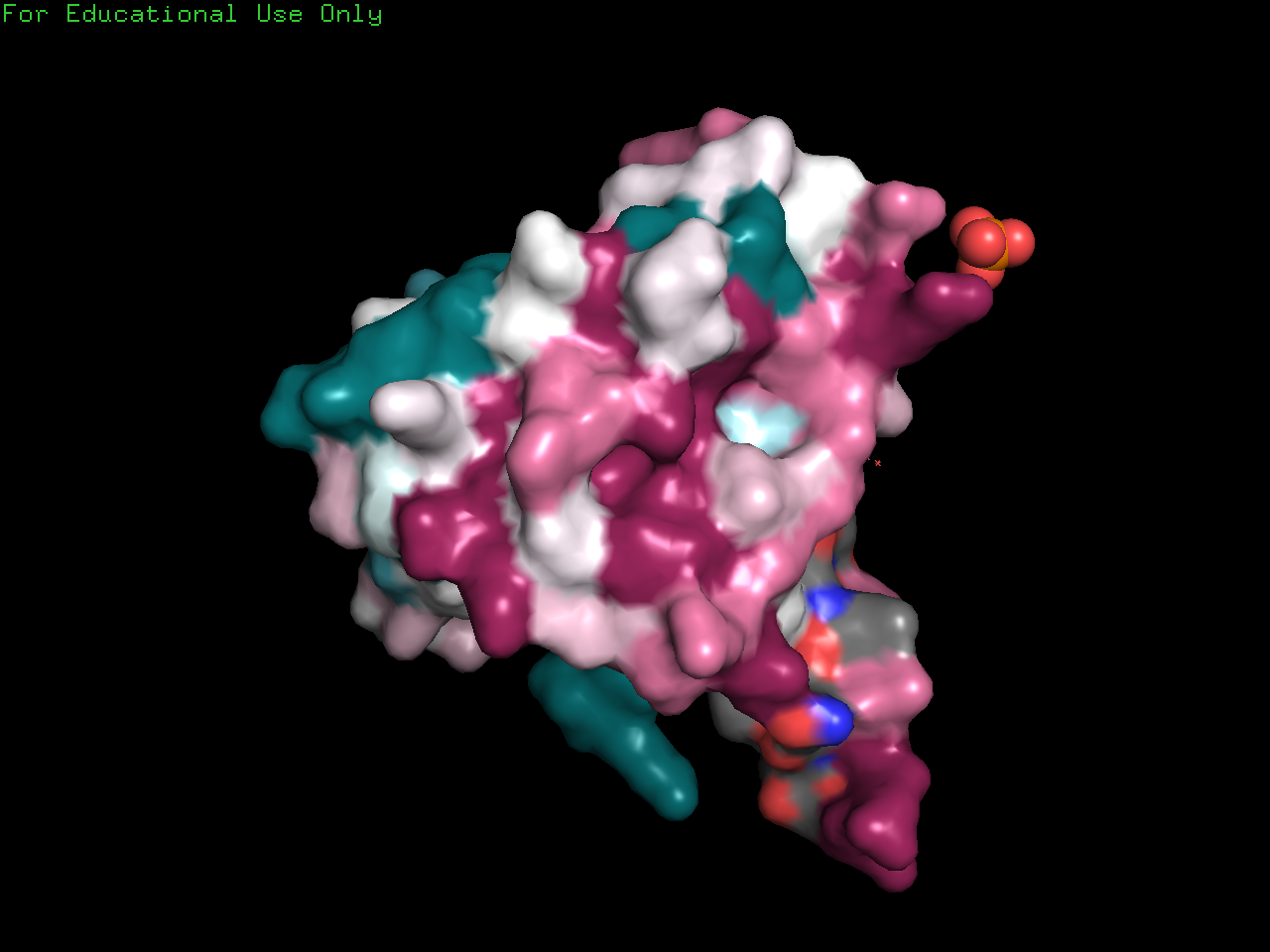 Solved Use the surface- and cartoon representations together | Chegg.com