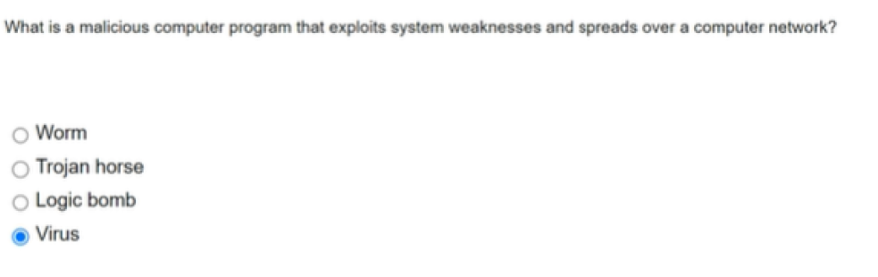Solved What is a malicious computer program that exploits | Chegg.com