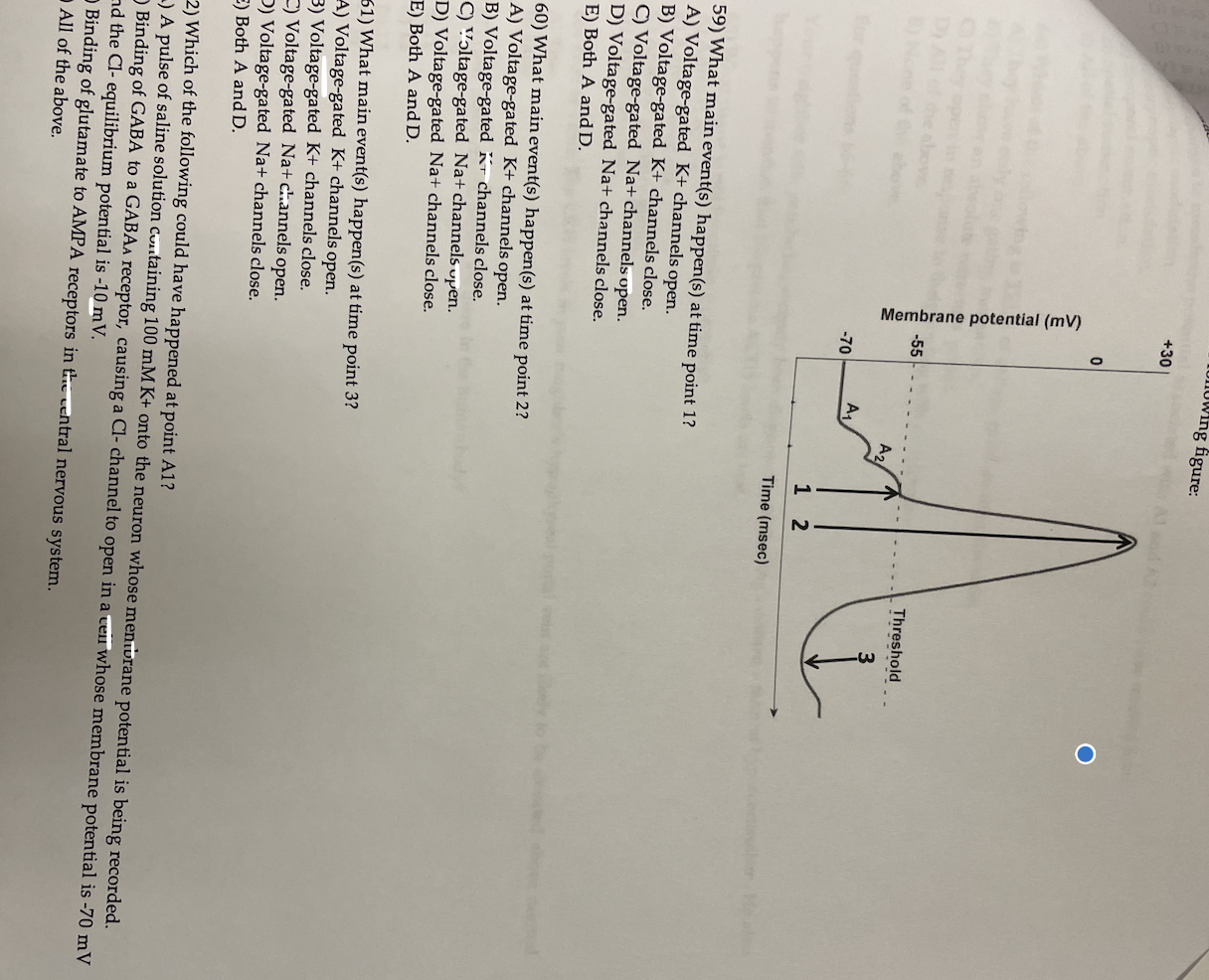 Solved Membrane potential (mV) | Chegg.com