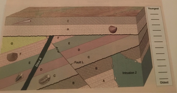 Solved List the entire sequence of events ,in order from | Chegg.com