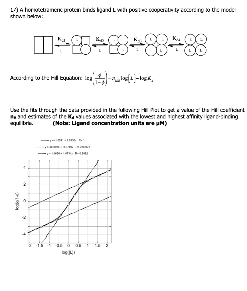 Solved 17) A homotetrameric protein binds ligand L with | Chegg.com