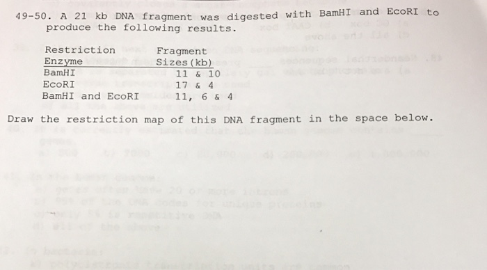 Solved A 21 kb DNA fragment was digested with BamHI and | Chegg.com