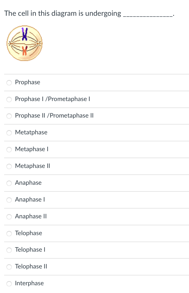 Solved The cell in this diagram is undergoing Prophase | Chegg.com