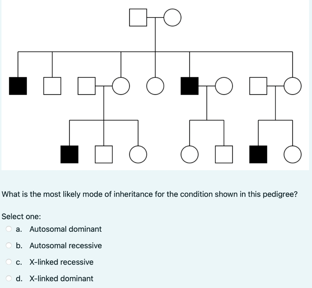 Solved What is the most likely mode of inheritance for the | Chegg.com