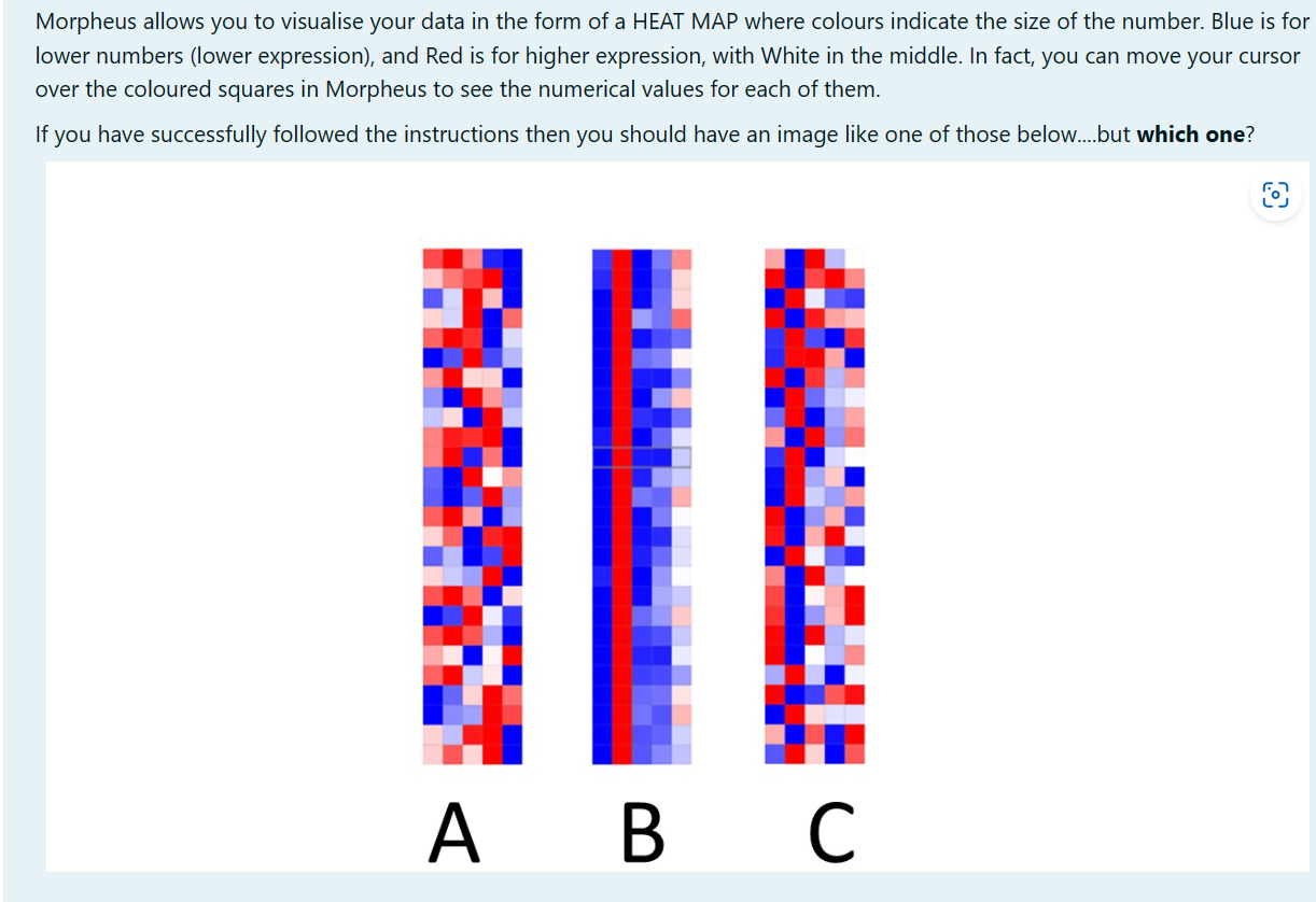 Illumina numbers are not interesting. Let's use | Chegg.com